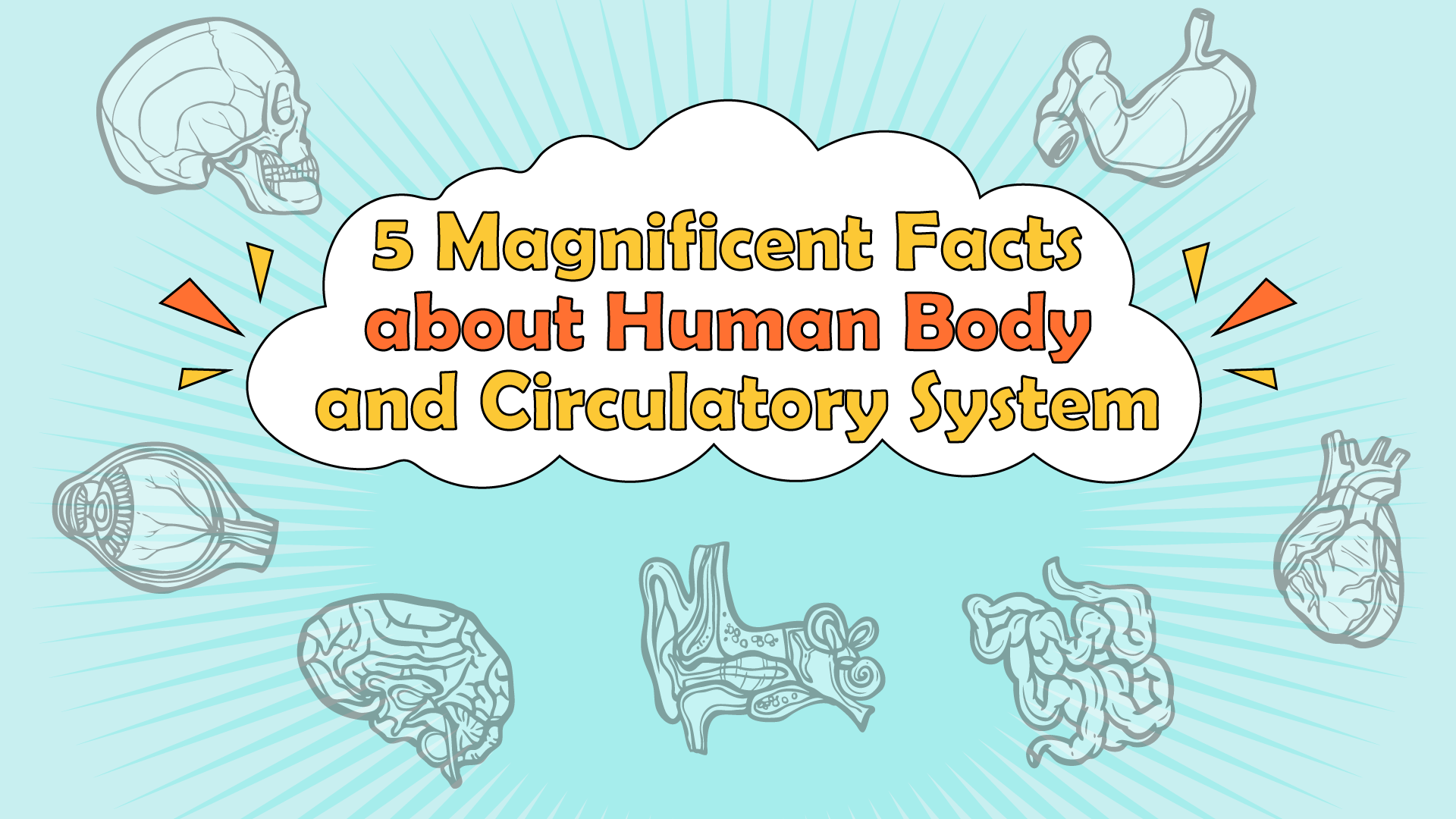 Resource Packs for Teaching Ethical Dilemmas - LearningMole