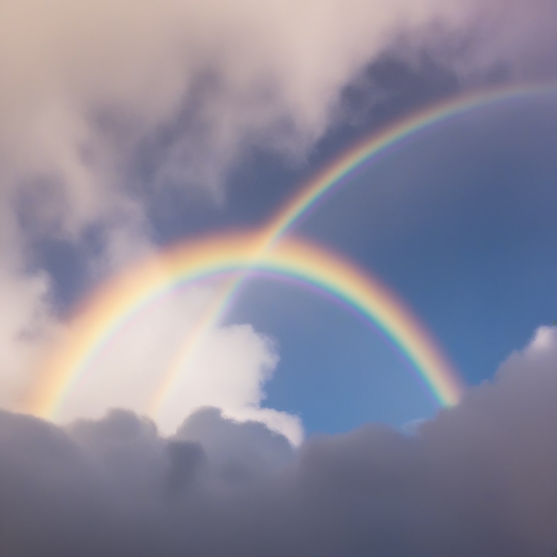 The Magical World of Rainbows: A Complete Guide