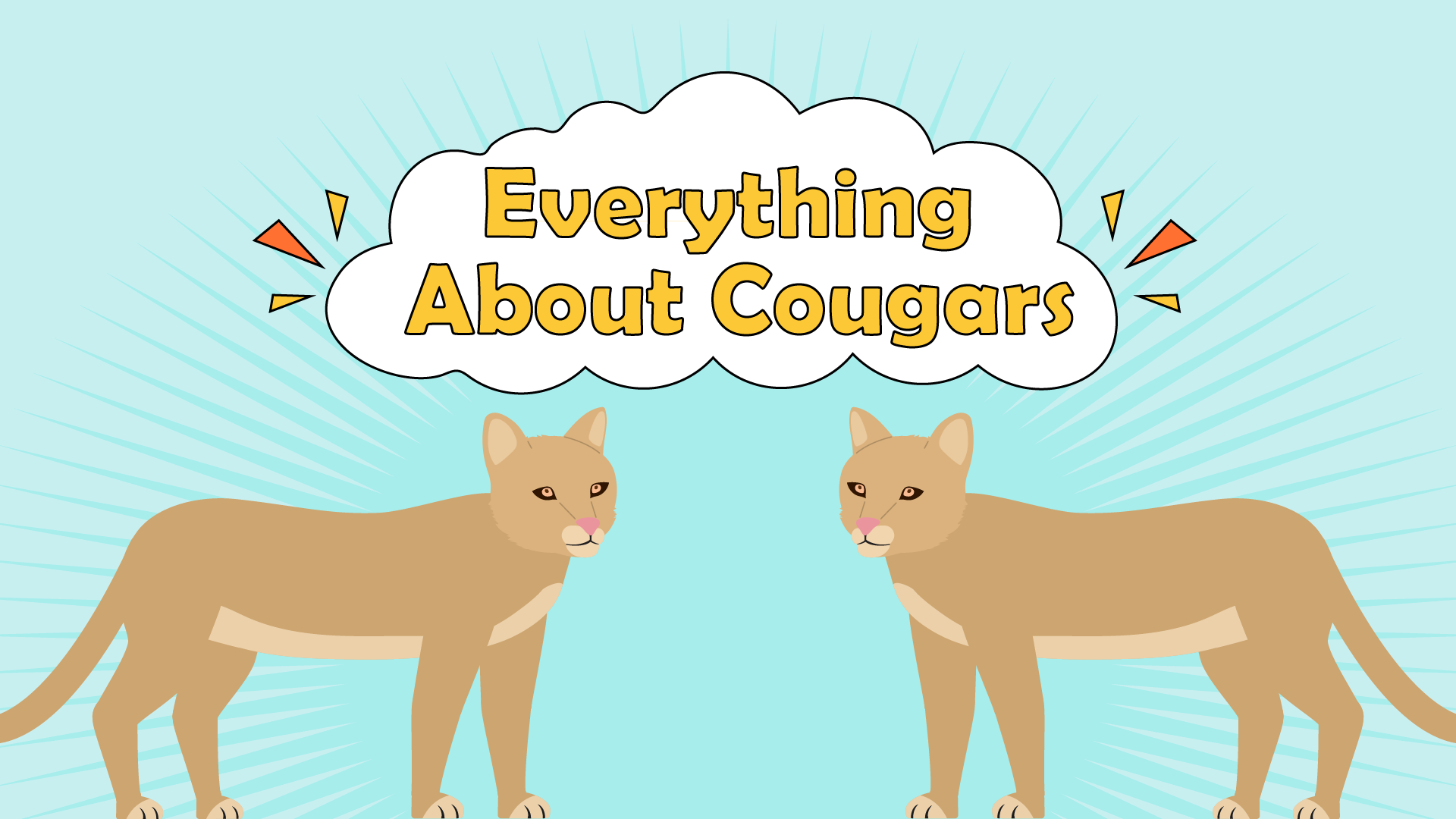 10 Fun Recycling Crafts for Kids - LearningMole