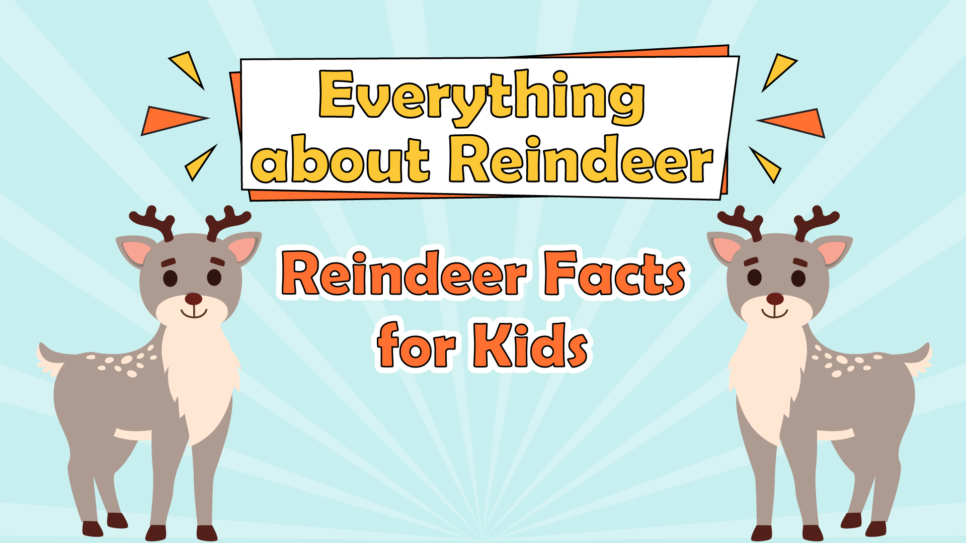 Everything about Reindeer - Reindeer Facts for Kids - LearningMole