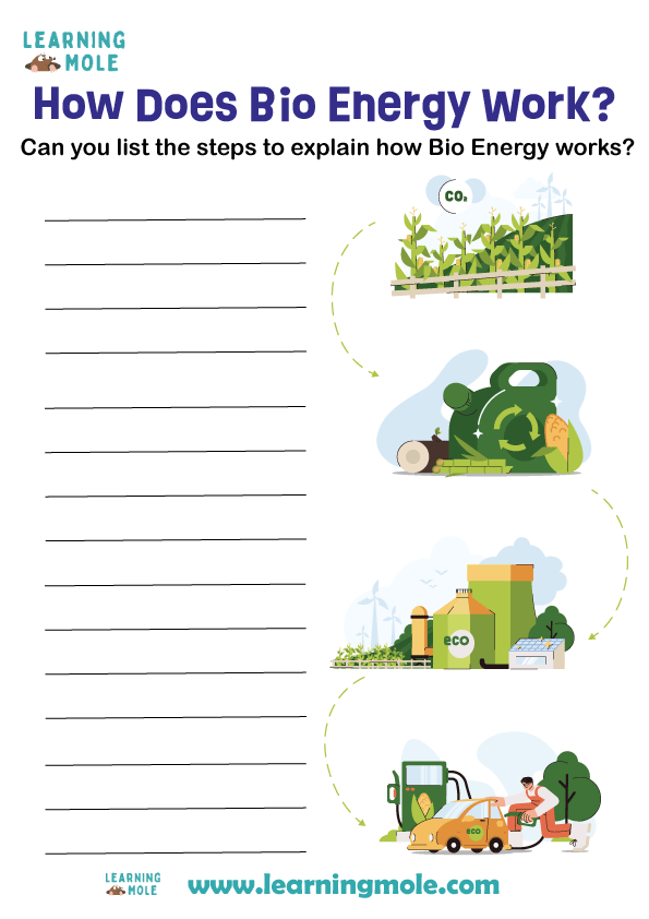 Environment Resources - LearningMole