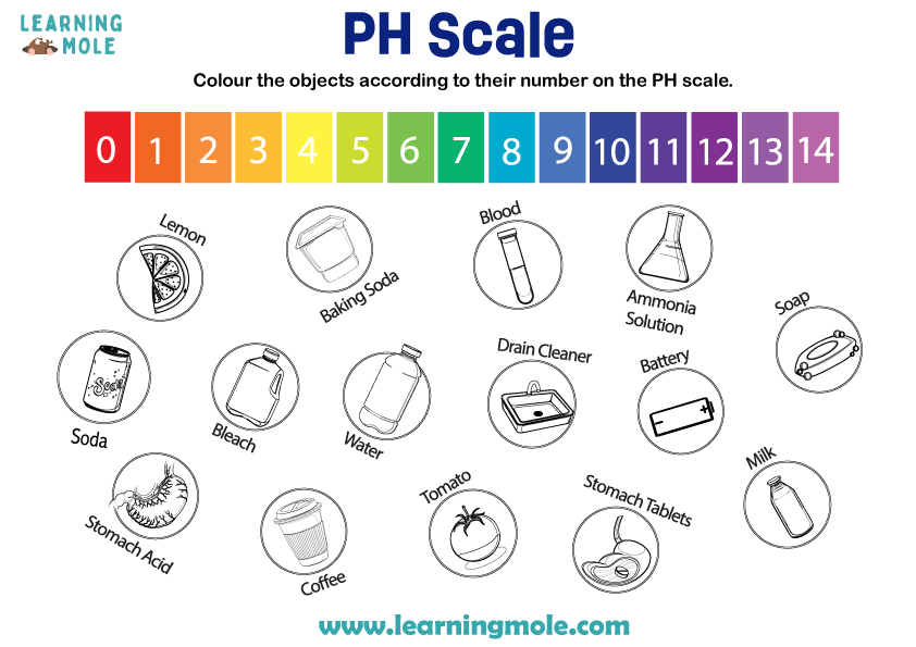 Science Resources - LearningMole