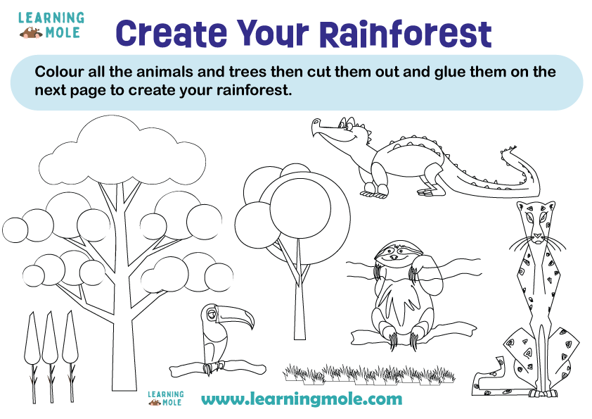 Environment Resources - LearningMole