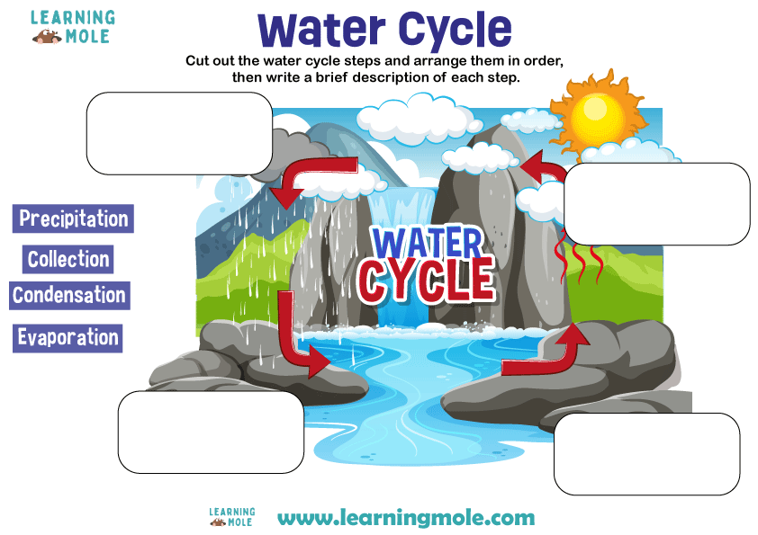 Science Resources - LearningMole