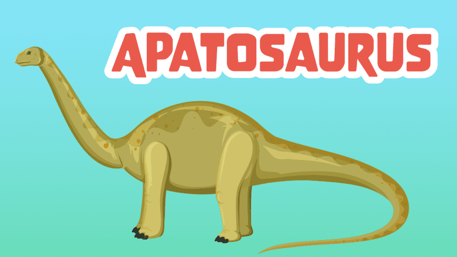 Apatosaurus - LearningMole