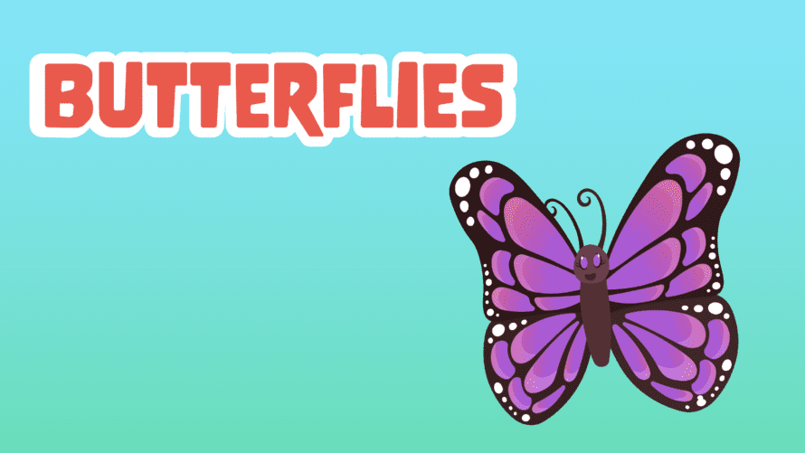 Butterflies - LearningMole