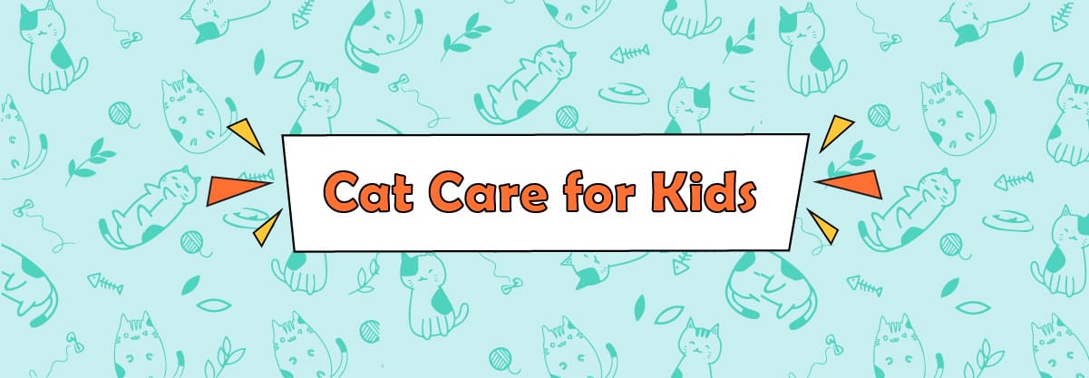 Top 6 Step By Step Guide To Ultimate Cat Care🐱 - LearningMole