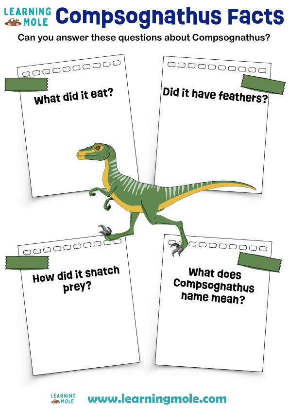 Compsognathus - LearningMole