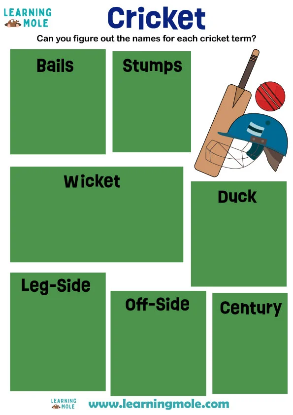 Cricket - LearningMole