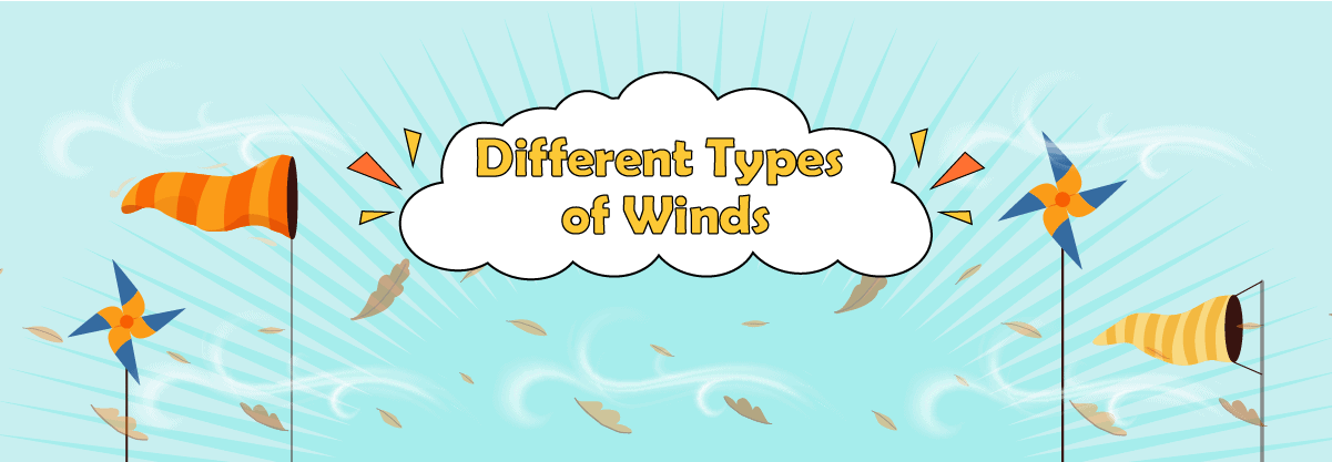 Amazing 5 Facts about the Wind - LearningMole