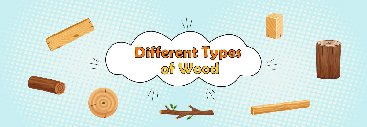 Exploring Assistive Technologies: A Guide to Essential Tools for ...