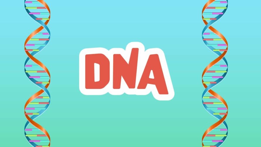 DNA - LearningMole
