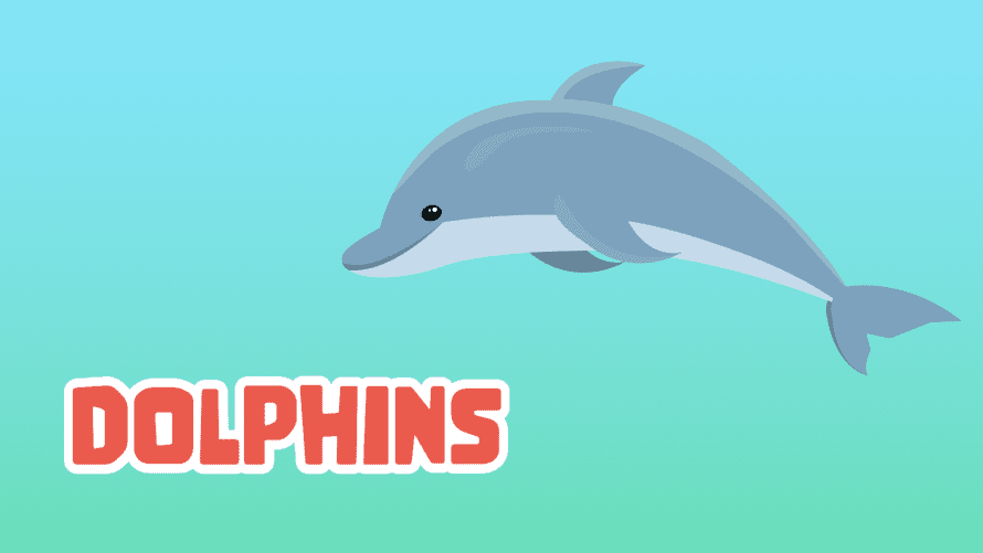 Dolphins - LearningMole