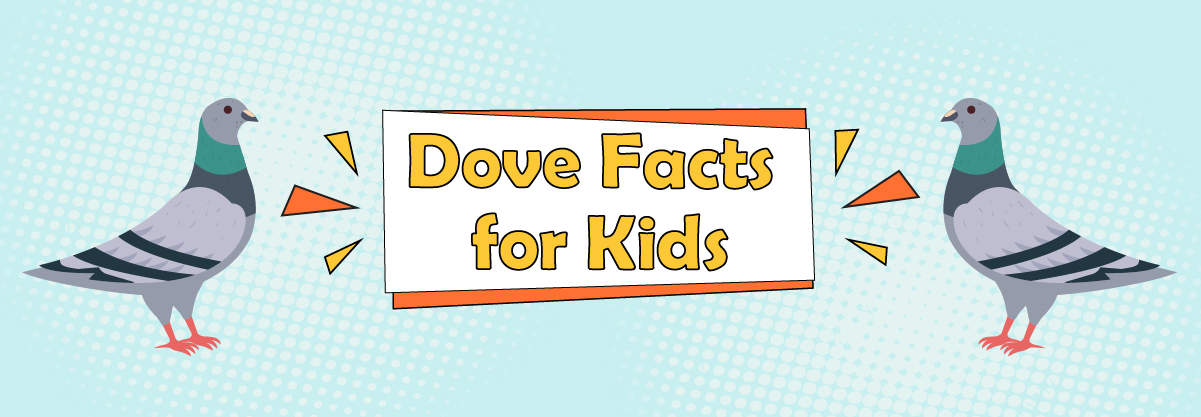 Doves: 22 Great Facts about the Peace Symbol - LearningMole