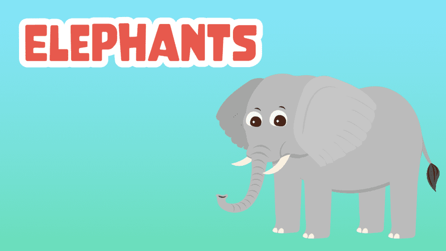 Elephants - LearningMole
