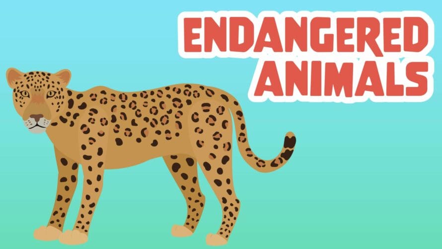 Endangered Animals - LearningMole