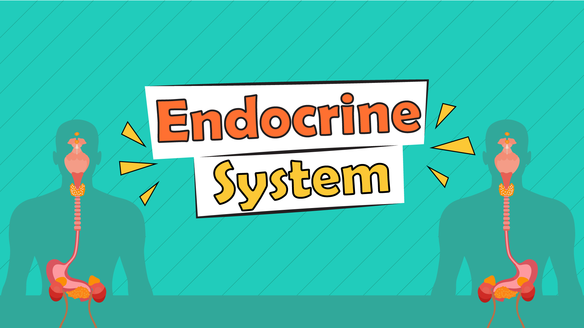 Endocrine System - LearningMole