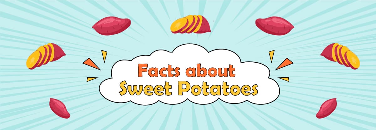 Sweet Potatoes: 🍠6 Interesting Facts to Learn About This Delicious ...