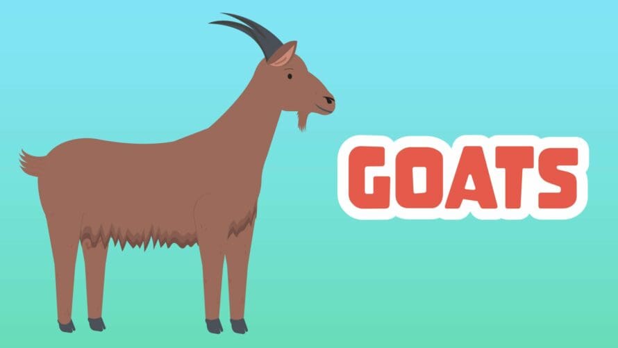 Goats - LearningMole