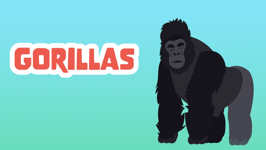 Gorillas - LearningMole