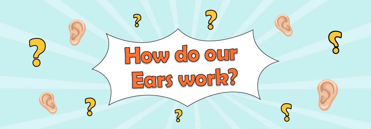 The Importance of Providing Appropriate Resources and Materials for ...