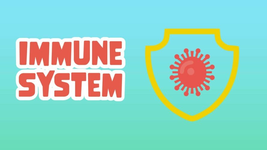 Immune System - LearningMole