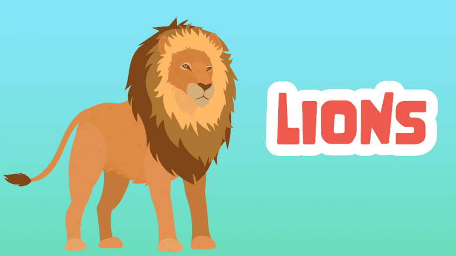 Lions - LearningMole