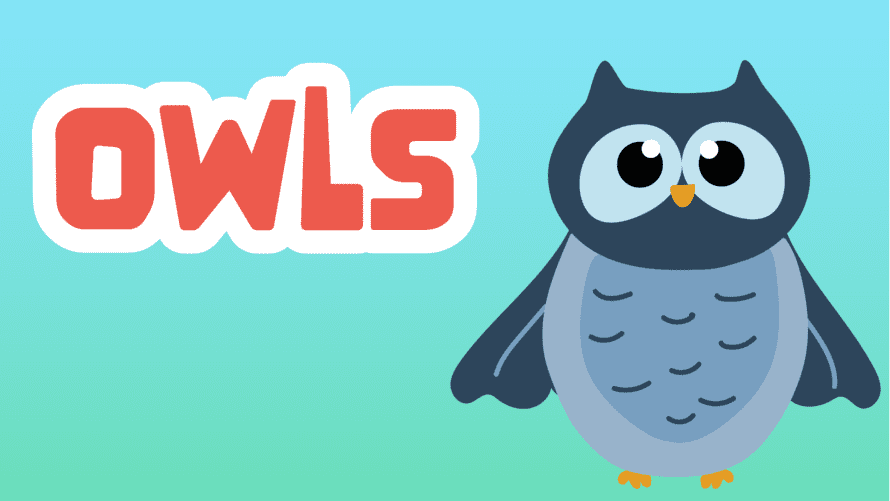 Owls - LearningMole