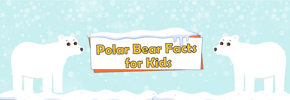 Polar Bear: Interesting and Fun Facts for Kids