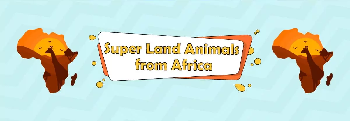 Growth Mindset Resources: The Essential Guide for Education and Beyond ...