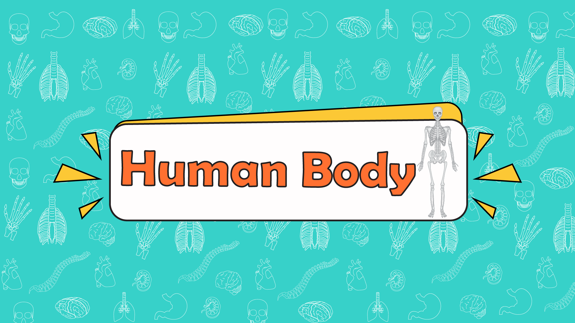 General Human Body - LearningMole