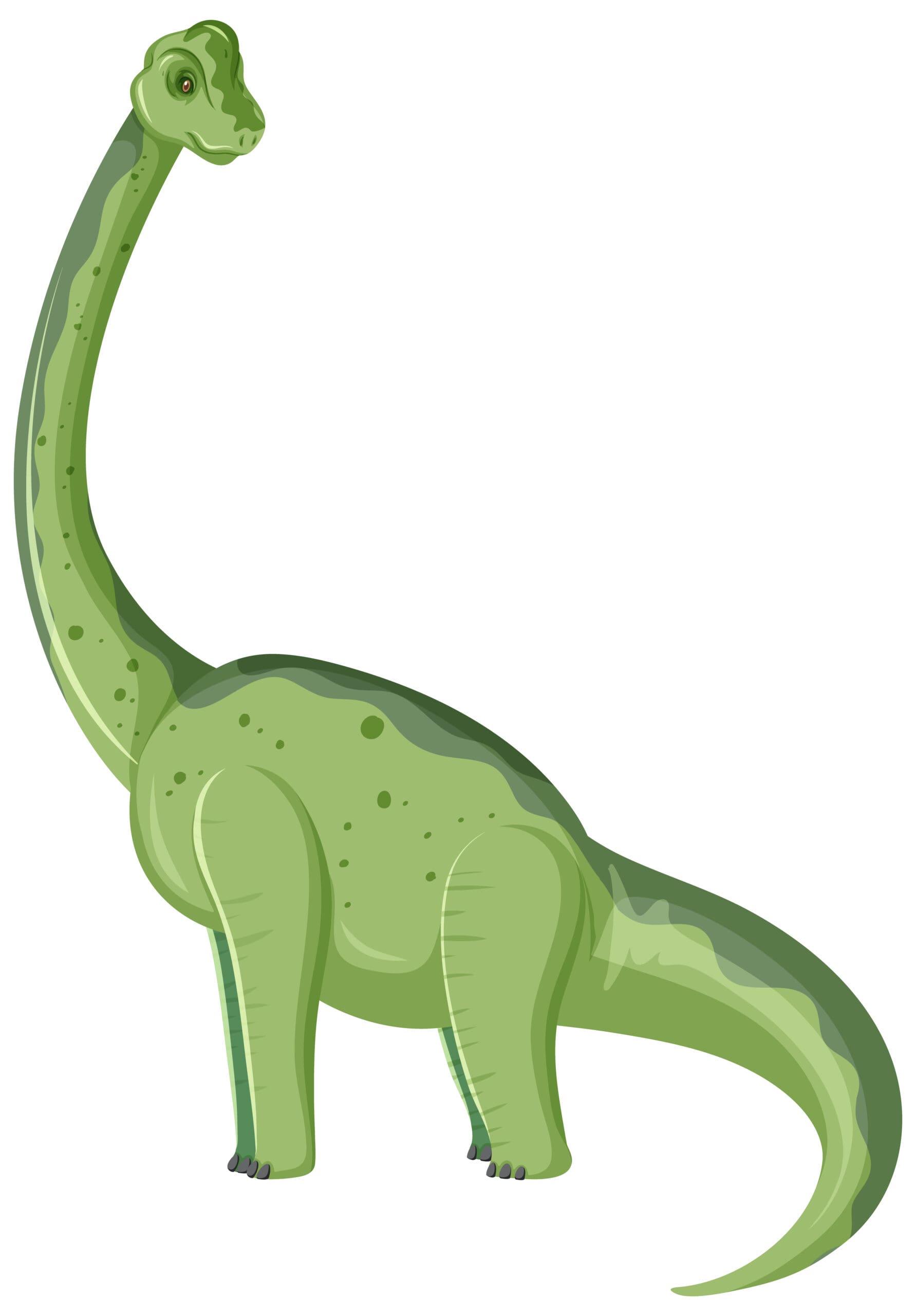 Brachiosaurus Facts for Kids - 5 Brave Facts about Brachiosaurus ...
