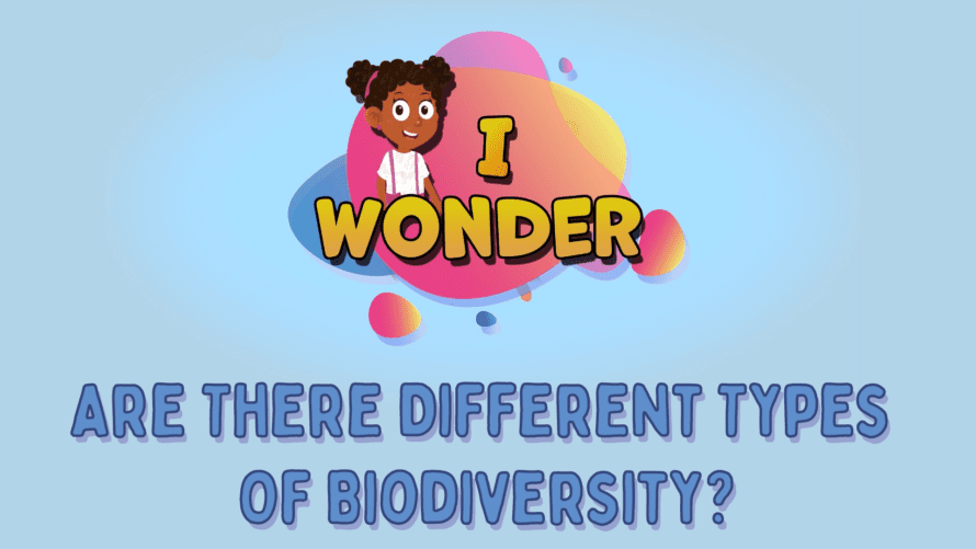 Are There Different Types Of Biodiversity? - LearningMole