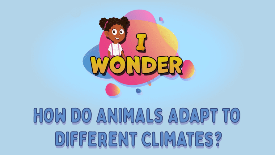 How Do Animals Adapt To Different Climates? - LearningMole