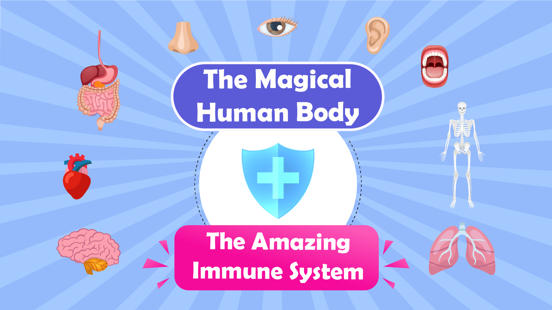 Amazing Immune System - LearningMole