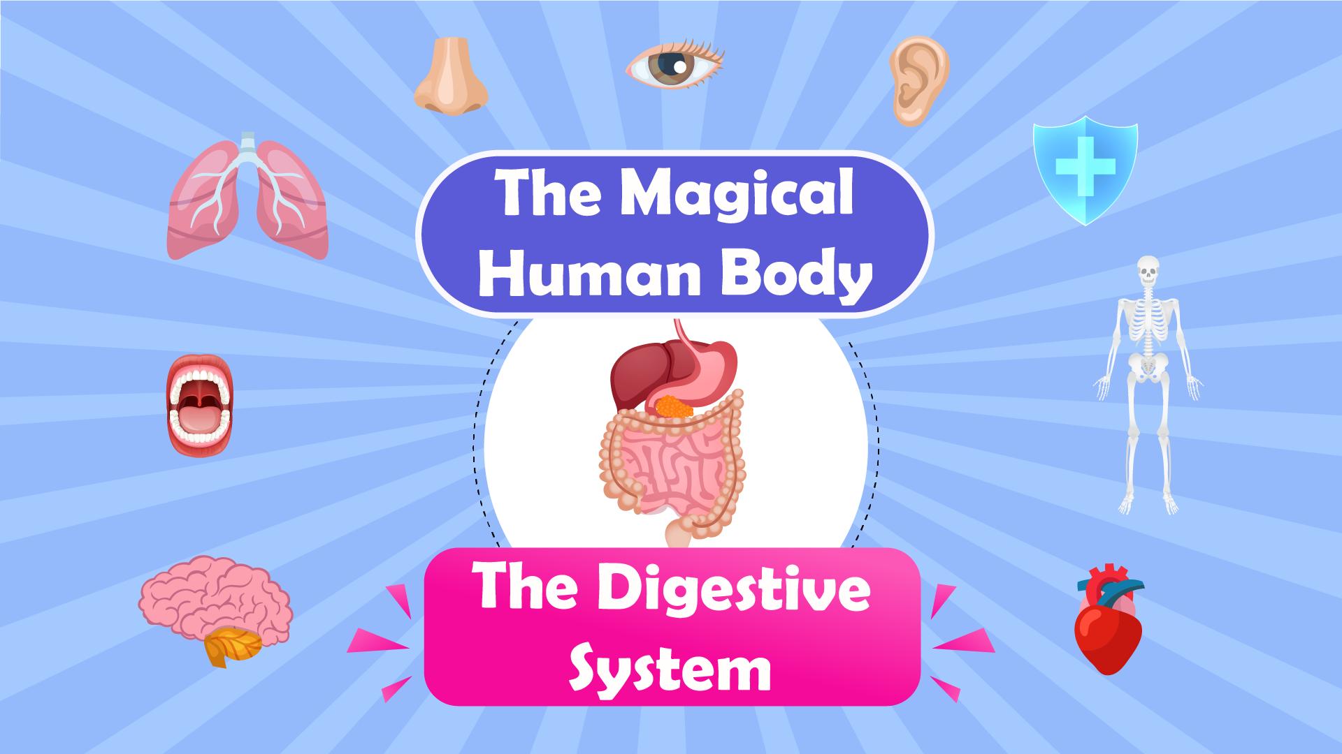 Amazing Digestive System - LearningMole