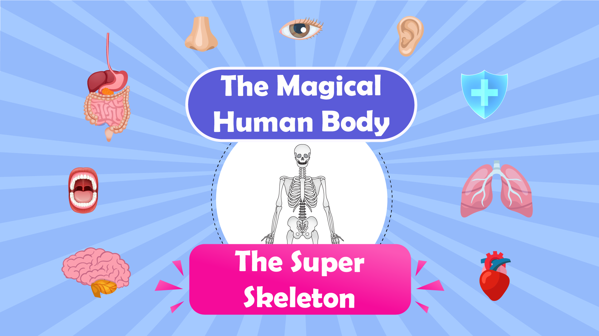 Super Skeleton - LearningMole