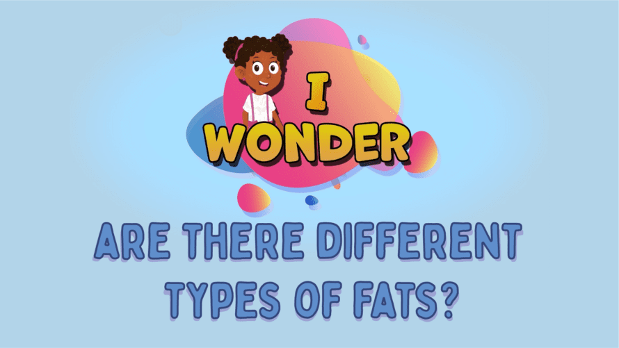Are There Different Types Of Fats? - LearningMole