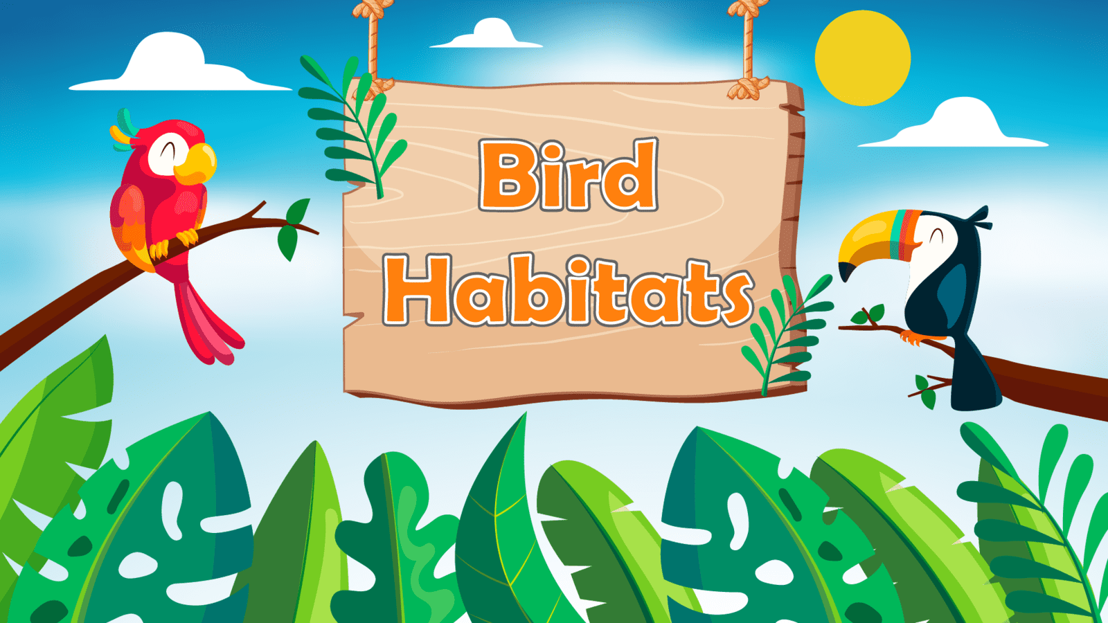 Bird Habitats - LearningMole