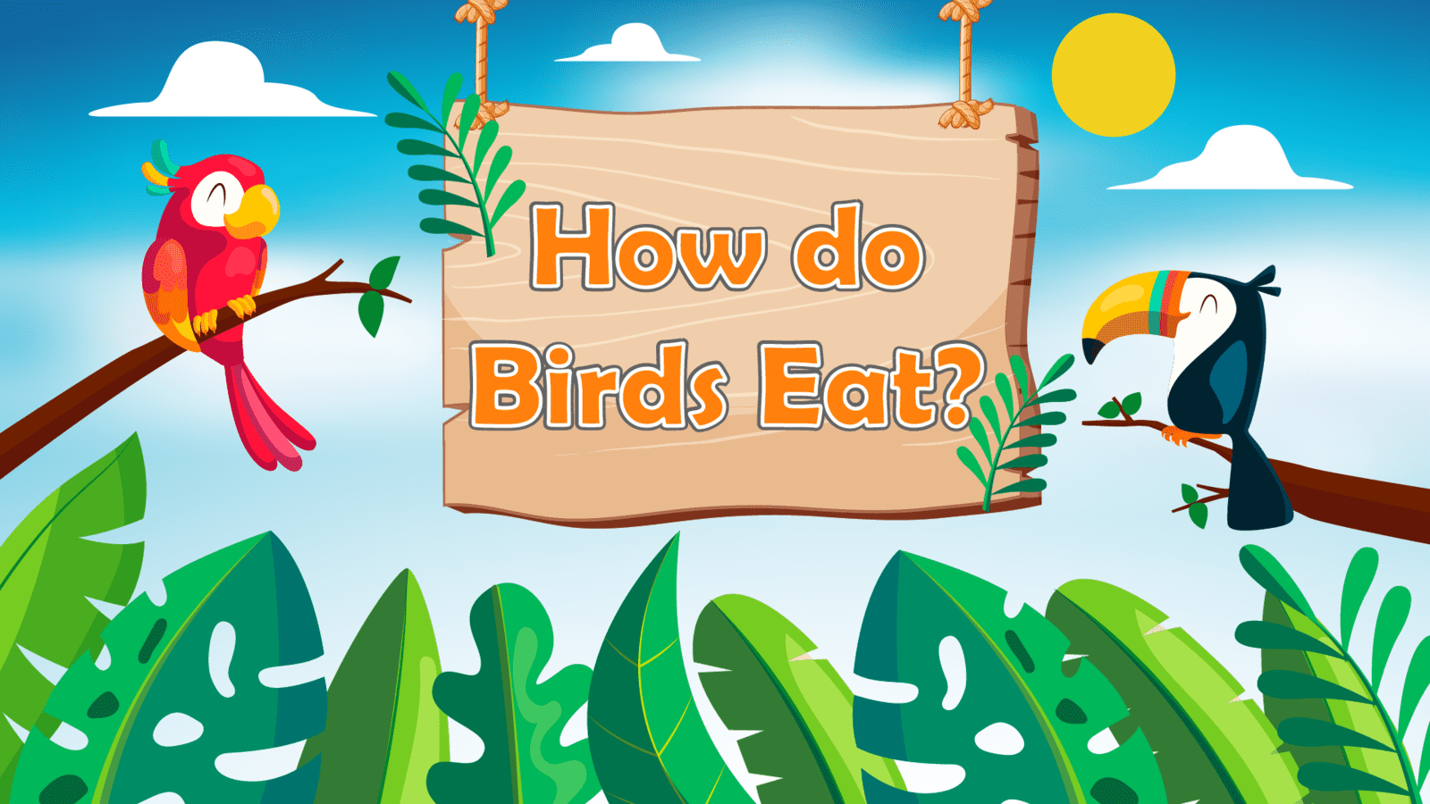 How Birds Eat - LearningMole