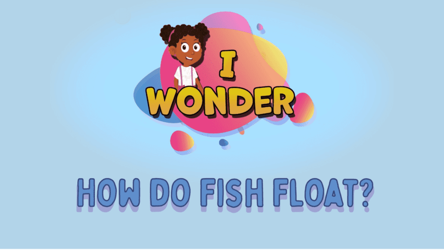 How Do Fish Float? - LearningMole