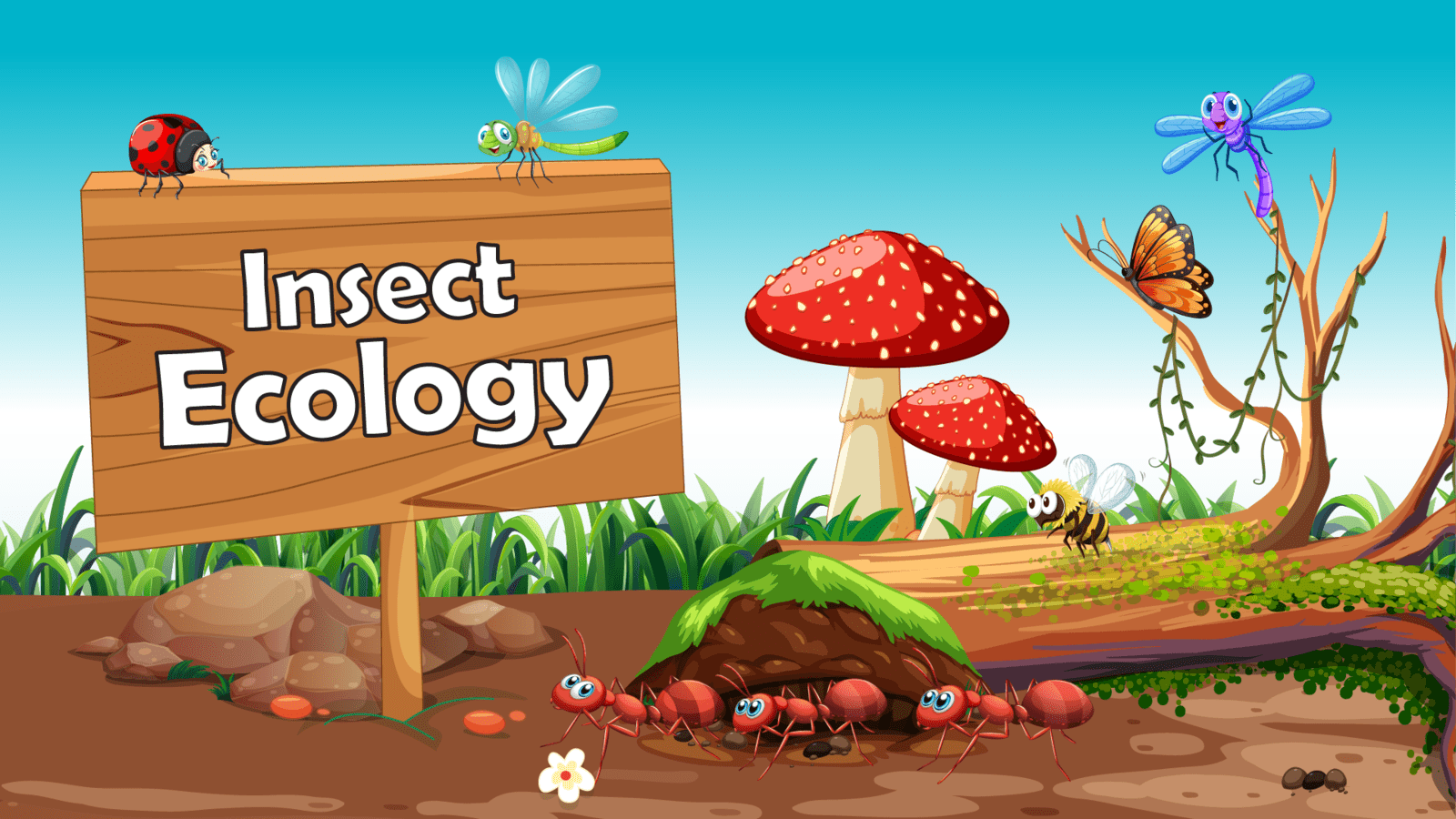 Insect Ecology - LearningMole
