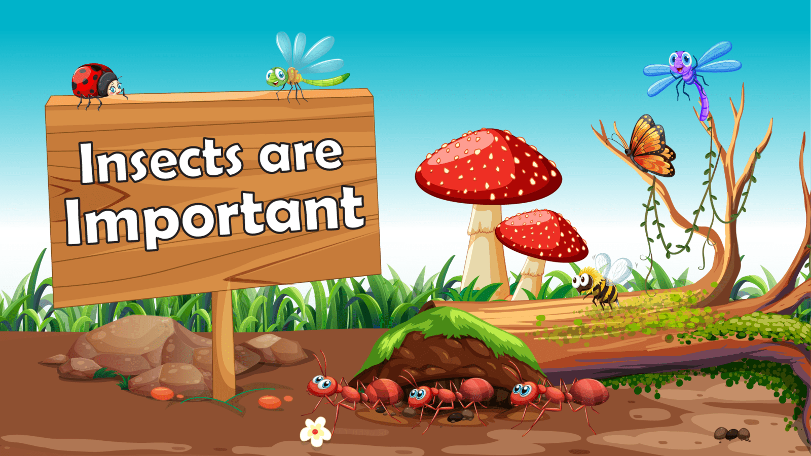 Insects are Important - LearningMole