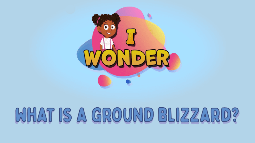 What Is A Ground Blizzard? - LearningMole