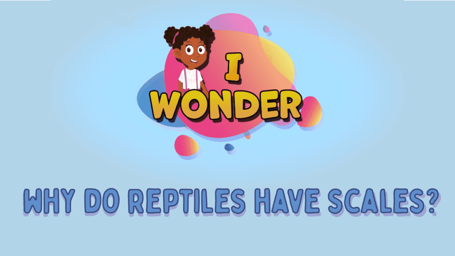 Why Do Reptiles Have Scales? - LearningMole