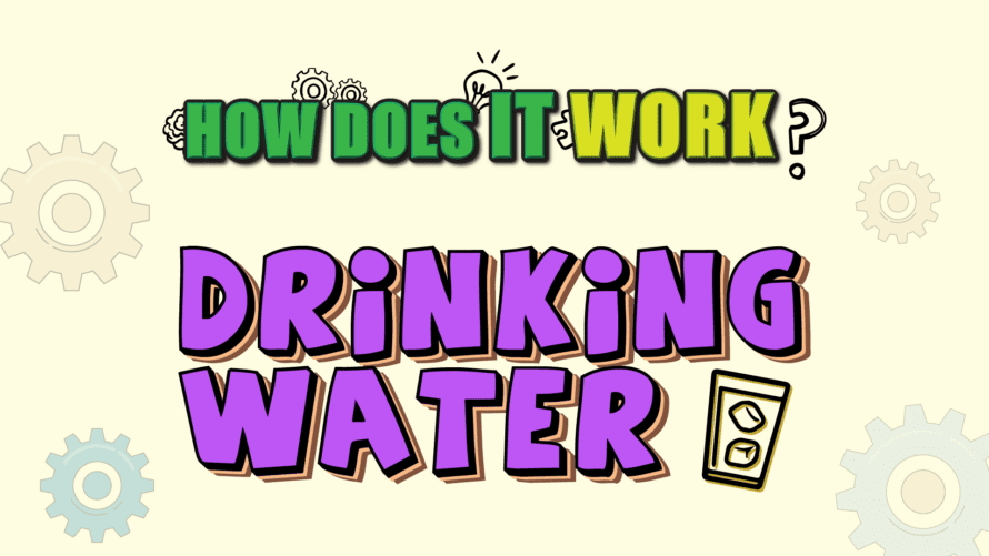 Drinking Water - LearningMole