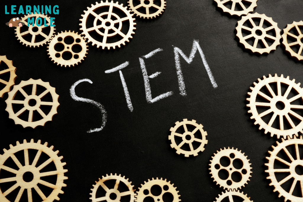 STEM Education Economic Impact in the UK
