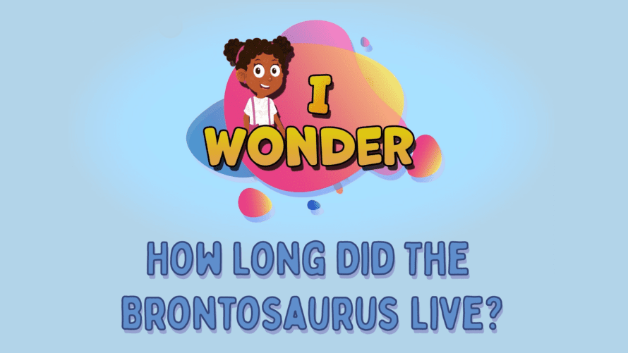 How Long Did The Brontosaurus Live? - LearningMole