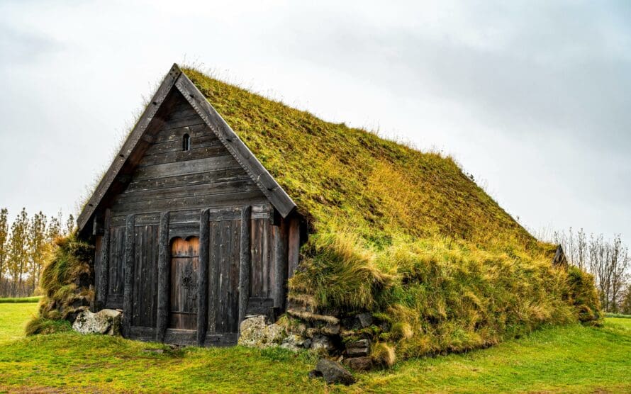 Viking Houses Facts for Kids – 5 Fascinating Facts - LearningMole