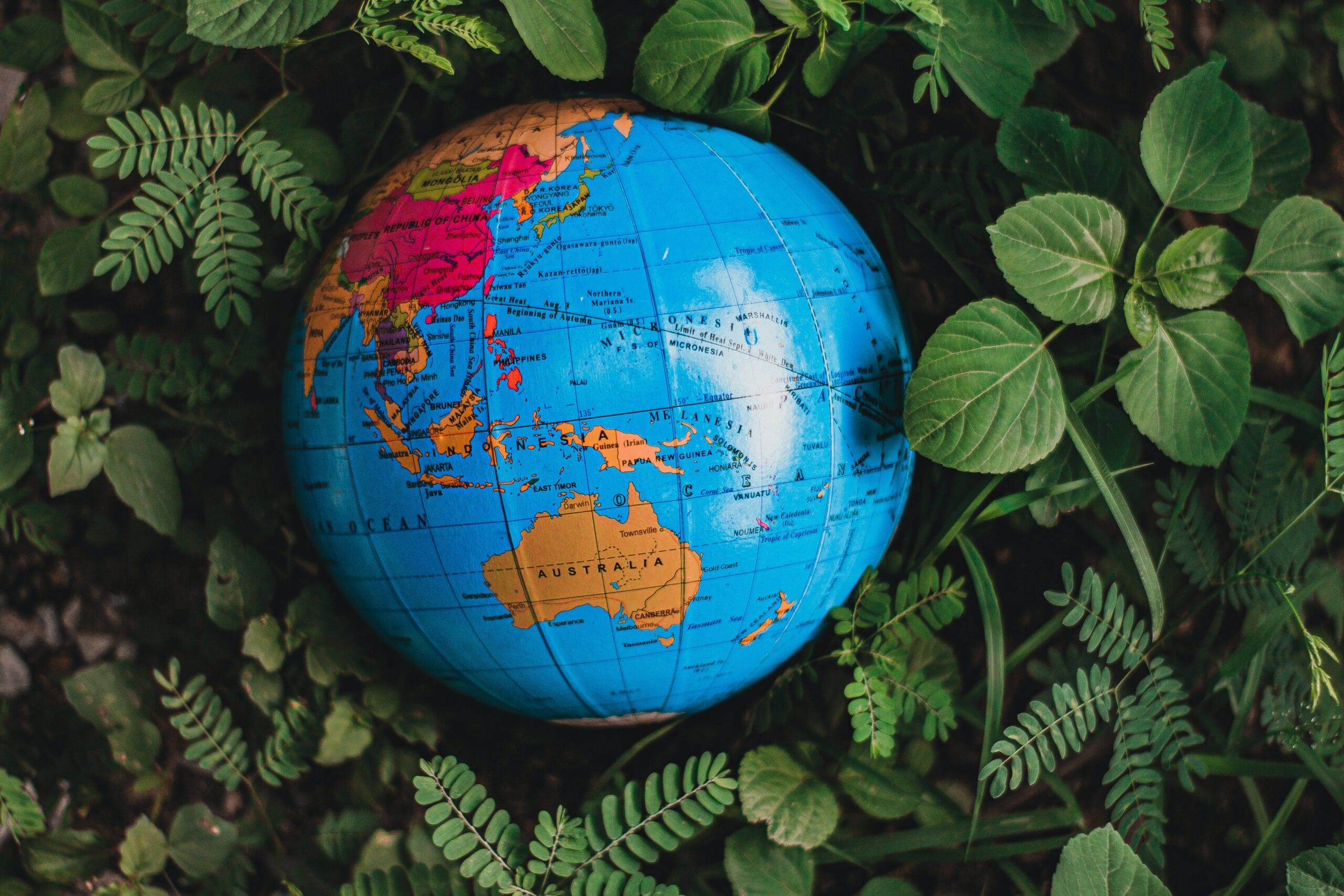 Continents Facts for Kids – 5 Cool Facts